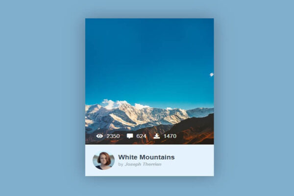 75 Best CSS Cards That You Can Use In 2022 | Techknow Prime