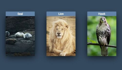 78 Best Free CSS Cards In 2025